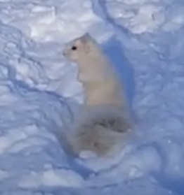 Our visit to Iceland day three - Edinborg guesthouse, hot pots, Hofn